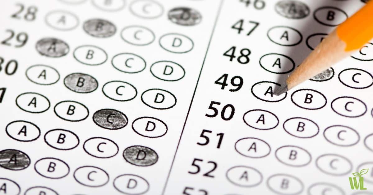 5 Secrets to Improving Your Childs Reading Scores on Standardized Tests ...